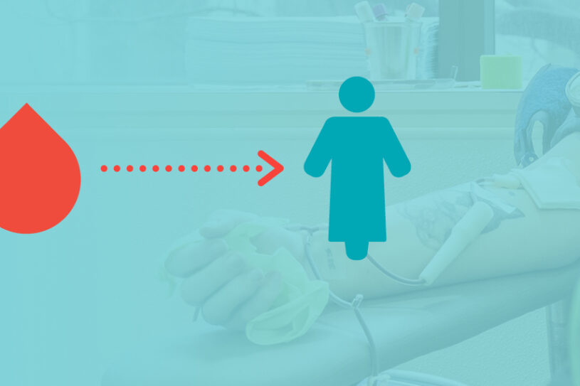 Why is blood drawn from and transfused into veins? - Bloodworks ...